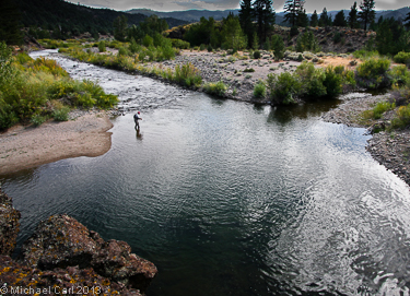 The Ecological Angler - East Fork Carson River - Hangman's Bridge to ...