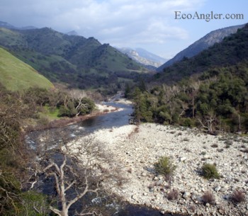 The Ecological Angler - Upper Kings River