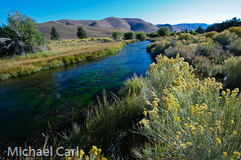The Ecological Angler - Fly Fishing Upper Owens River